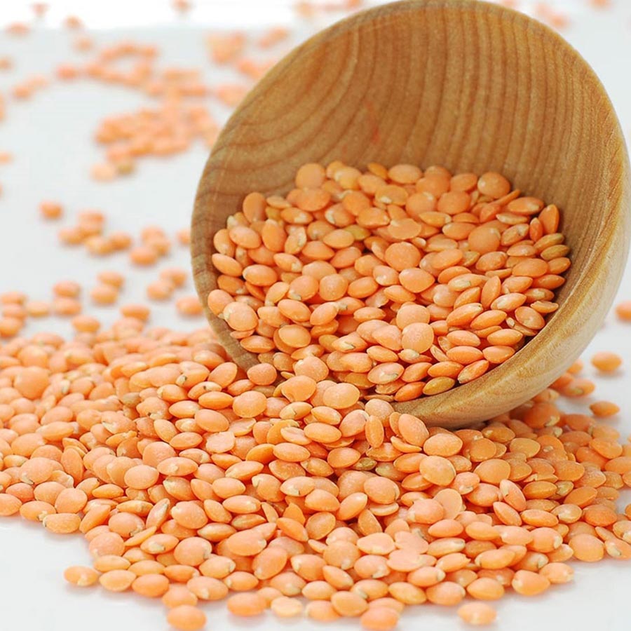 gourmetimports.com - Lentils - Crimson Petite, Dry, Special Order