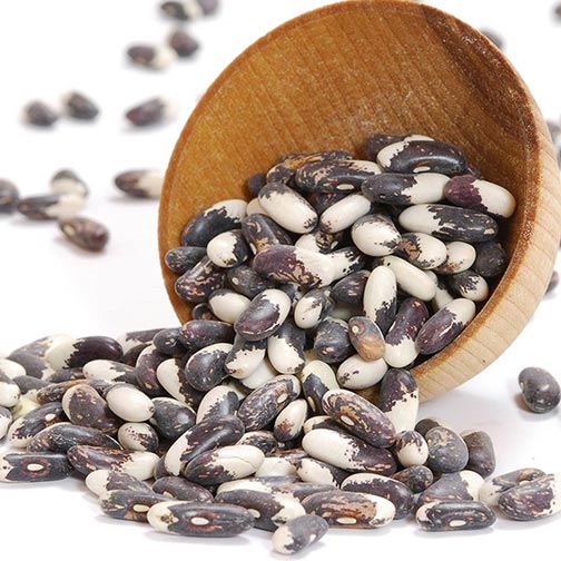 gourmetimports.com - Jacob's Cattle (Trout) Beans - Dry, Special Order